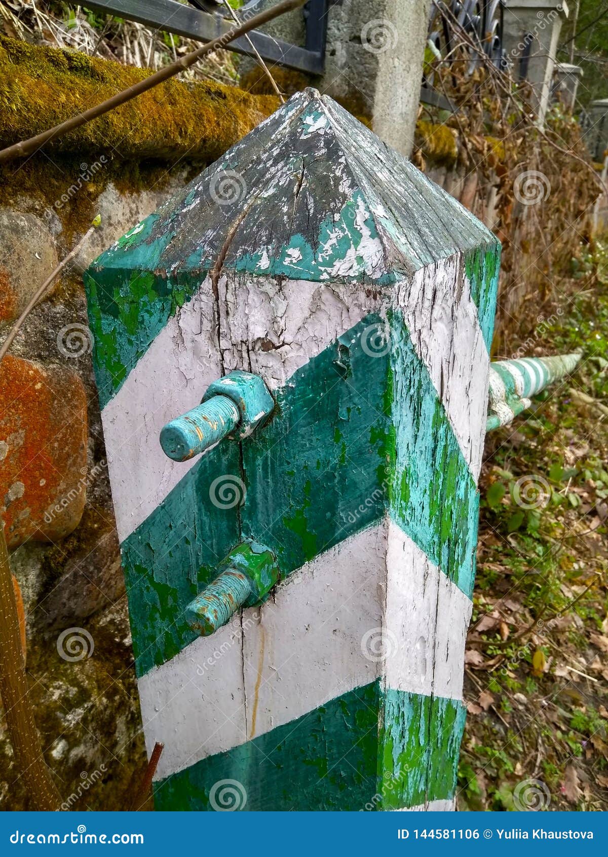 Old Borderline Striped White with a Green Barrier in the Forest Stock ...