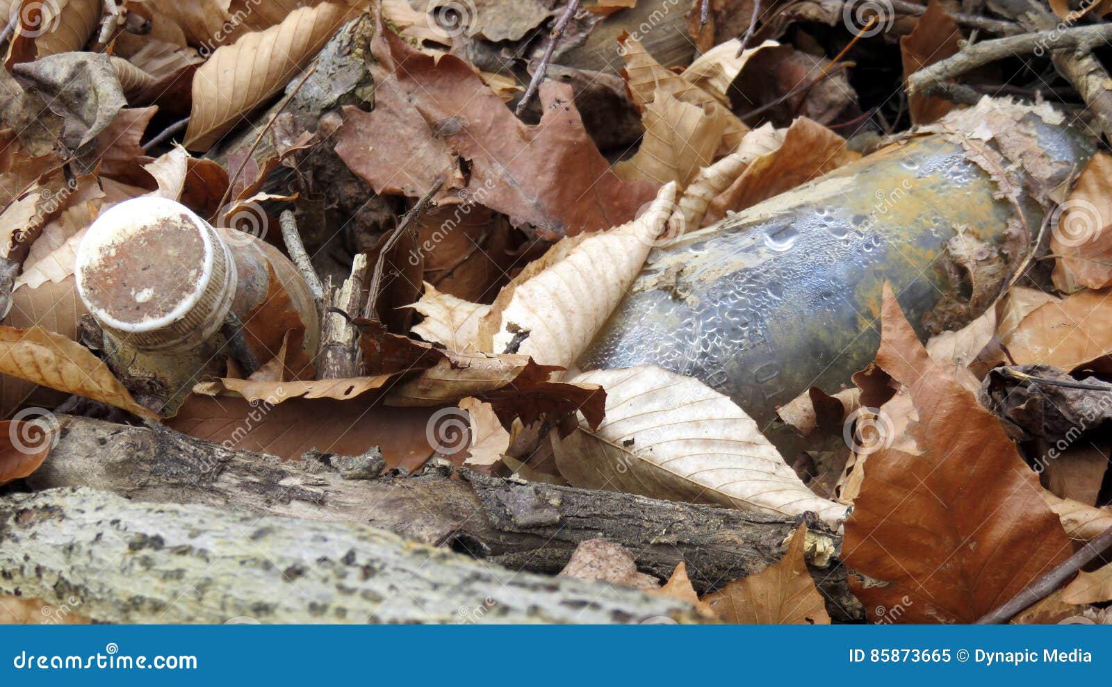 Old Bottles stock image. Image of nature, garbage, leaf - 85873665