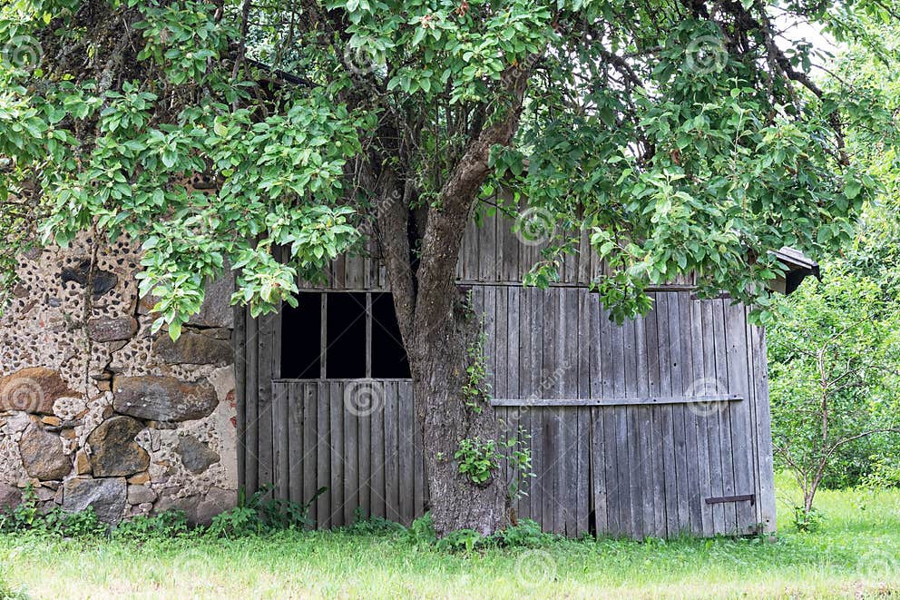 Old Boulder Barn Wall with Old Wooden Plank Barn Stock Photo - Image of ...