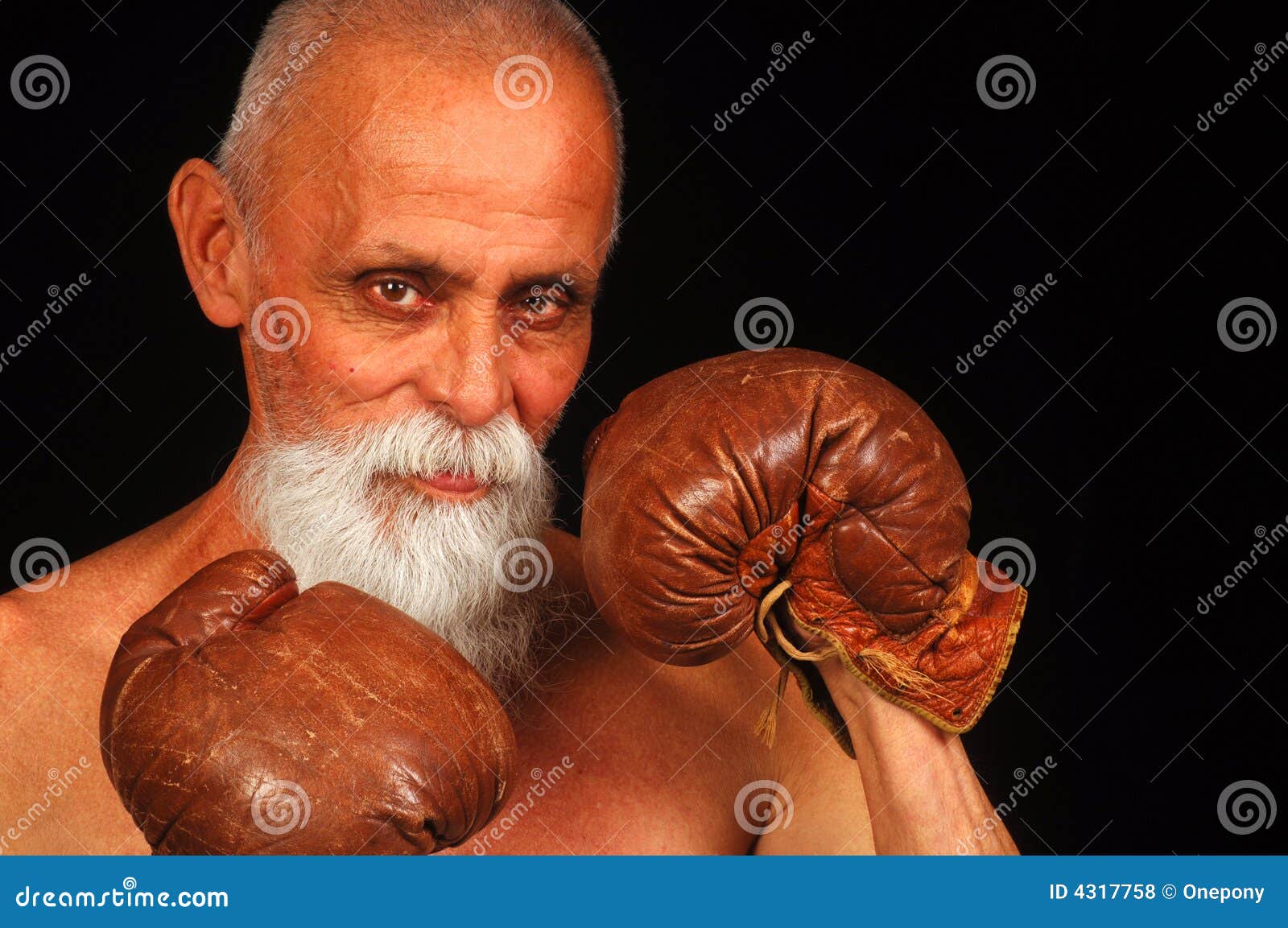 Old Boxer stock photo. Image of spar, match, competition - 4317758