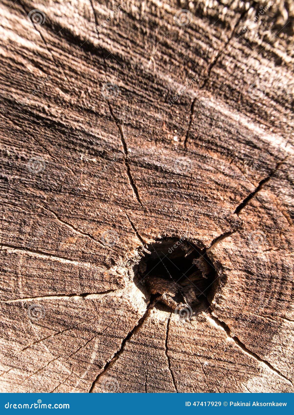 Old breaking bark pattern stock image. Image of filed - 47417929