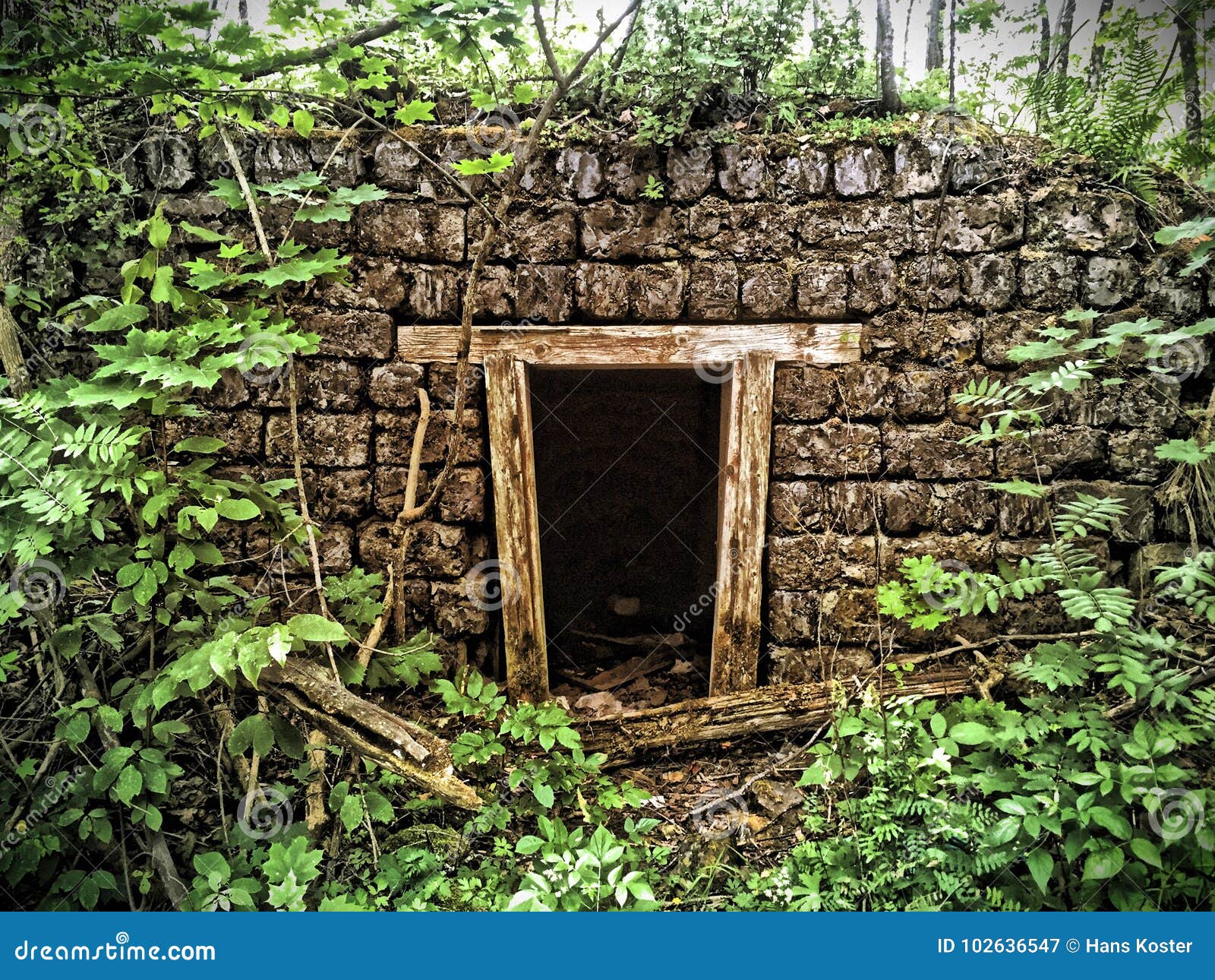 Old brick cave stock image. Image of cave, bricks, busch - 102636547
