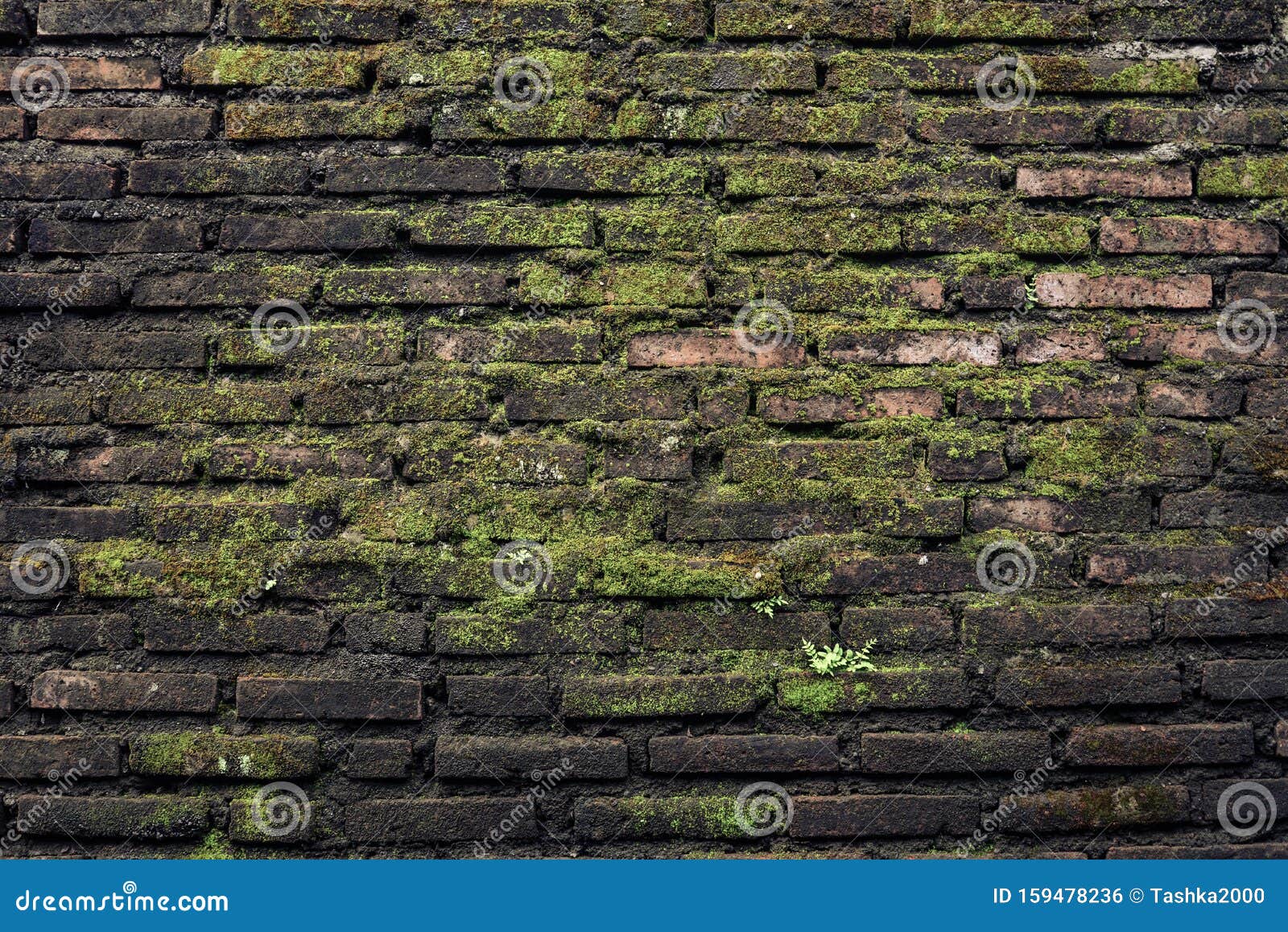 Old Brick Moss-covered Wall Stock Photo - Image of cracked, abandoned ...