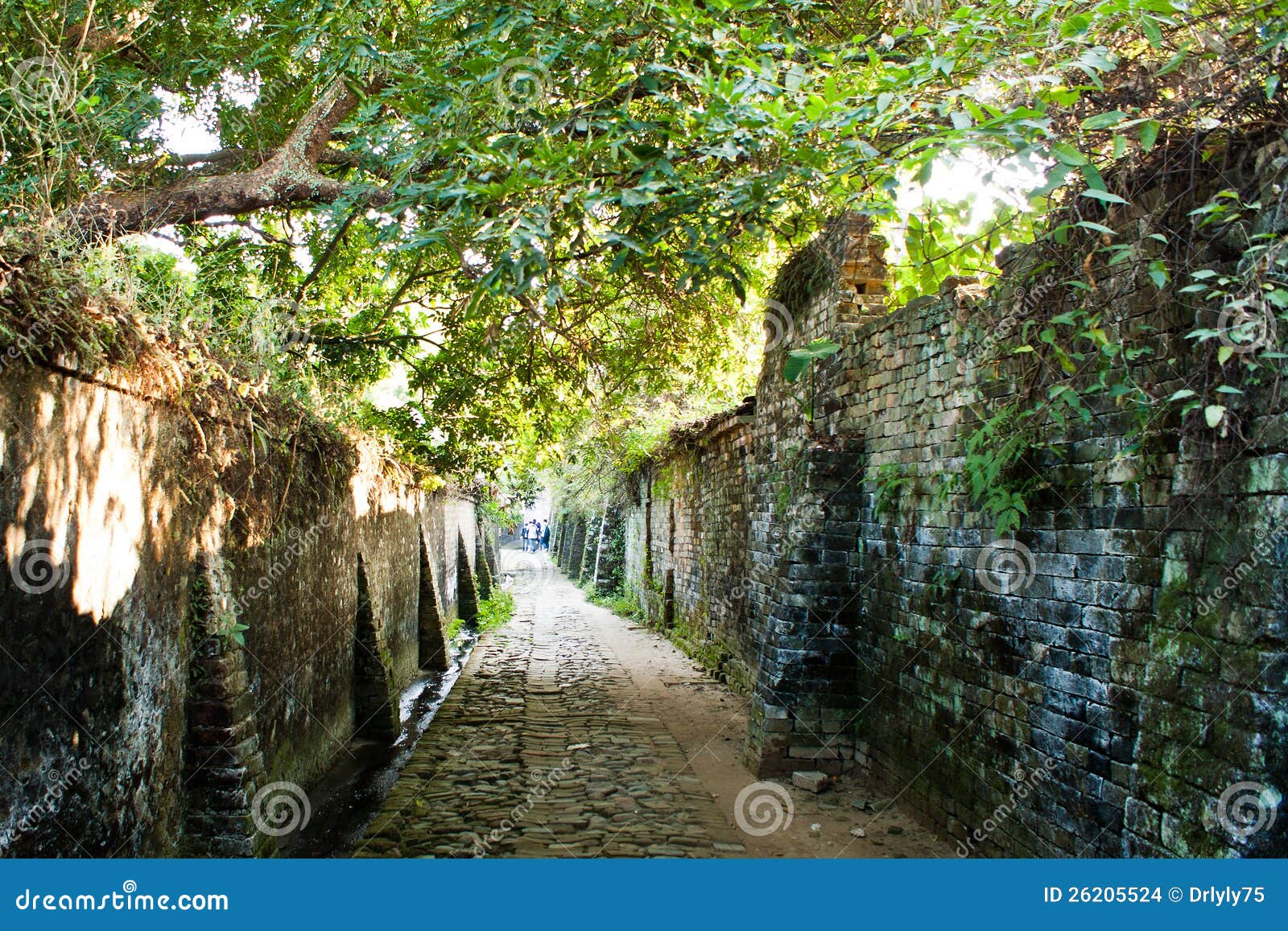 Old Brick Path between Old Walls Stock Photo - Image of leisure, vine ...