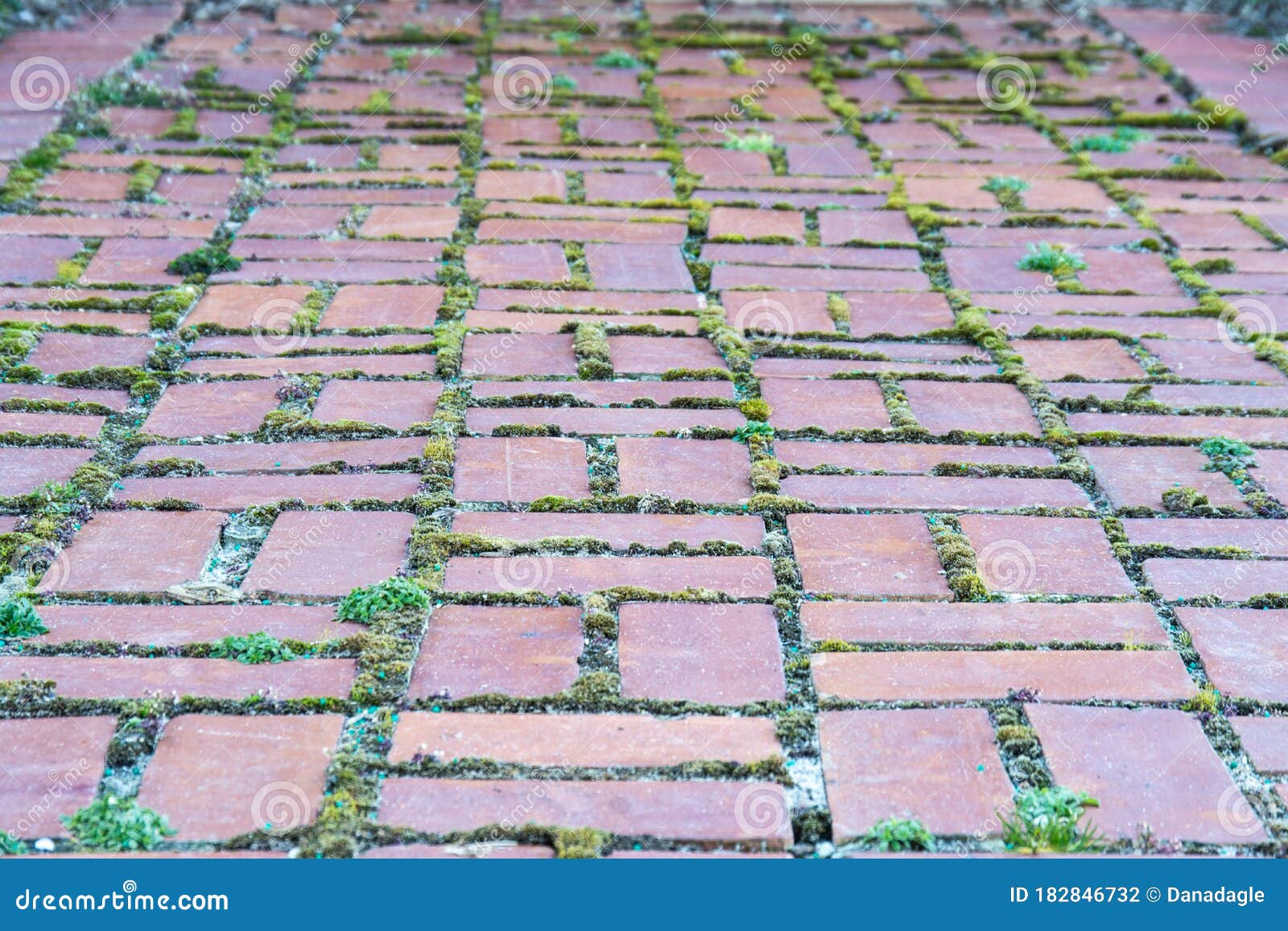 Old Brick Pathway Background Graphic Stock Photo - Image of green ...