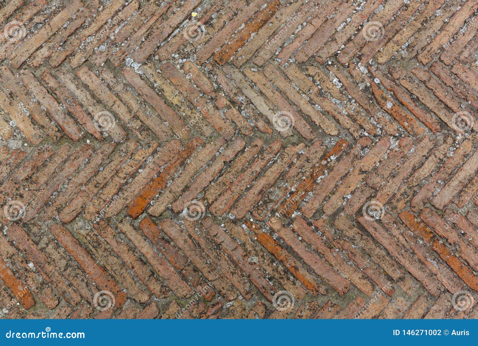 Old brick pavement texture stock photo. Image of detail - 146271002