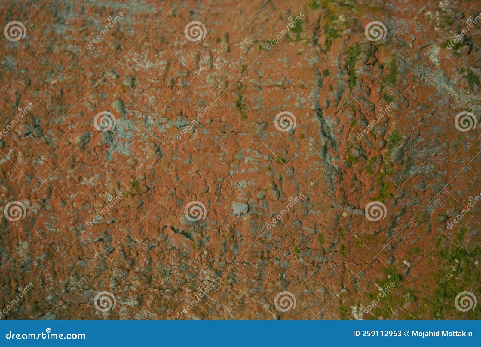 Old brick texture stock image. Image of tree, leaf, terrain - 259112963