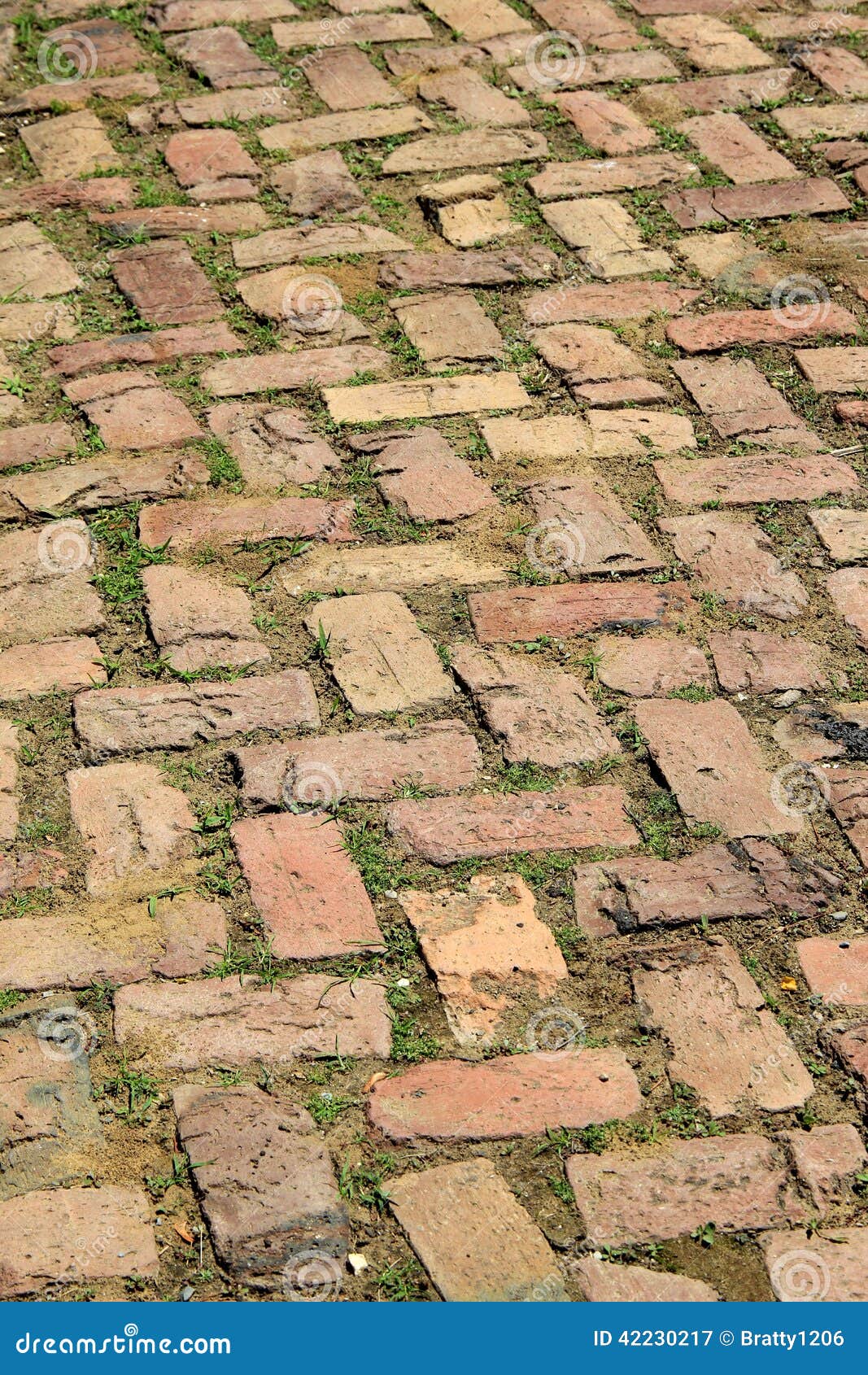 Old Brick Walkway and Grass Stock Image - Image of walkway, growing ...