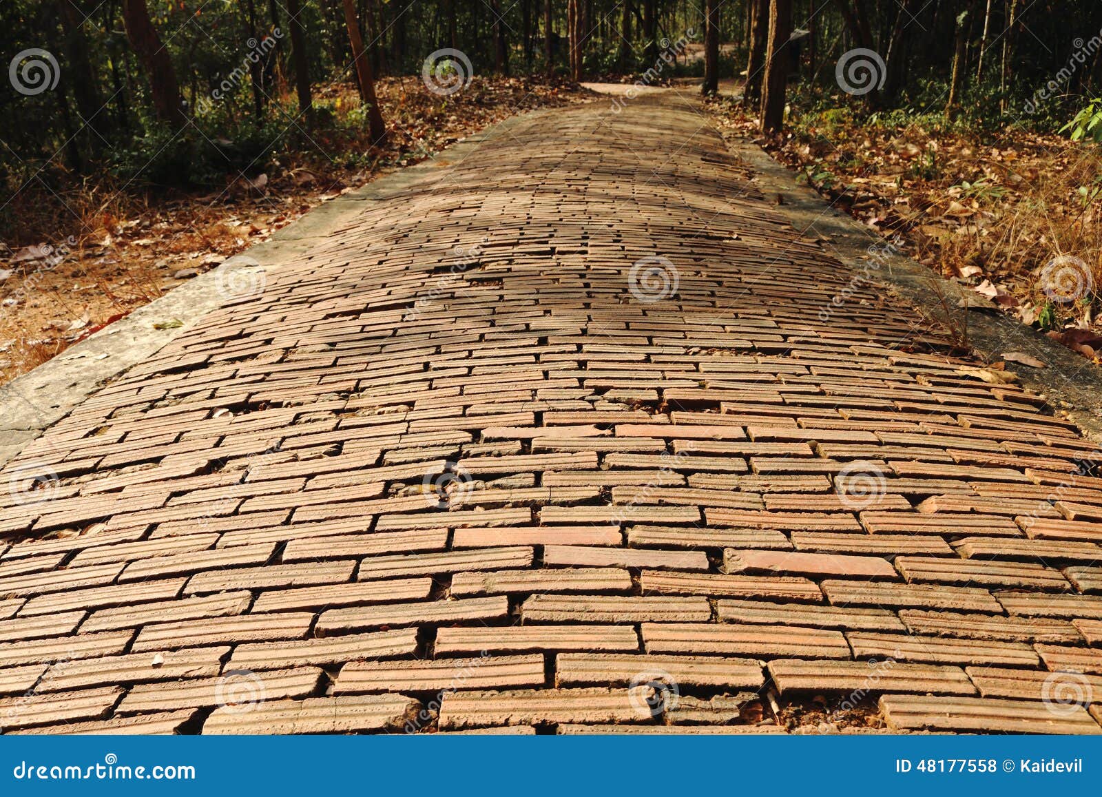Old Brick Walkway Stock Photos - Royalty Free Stock Images