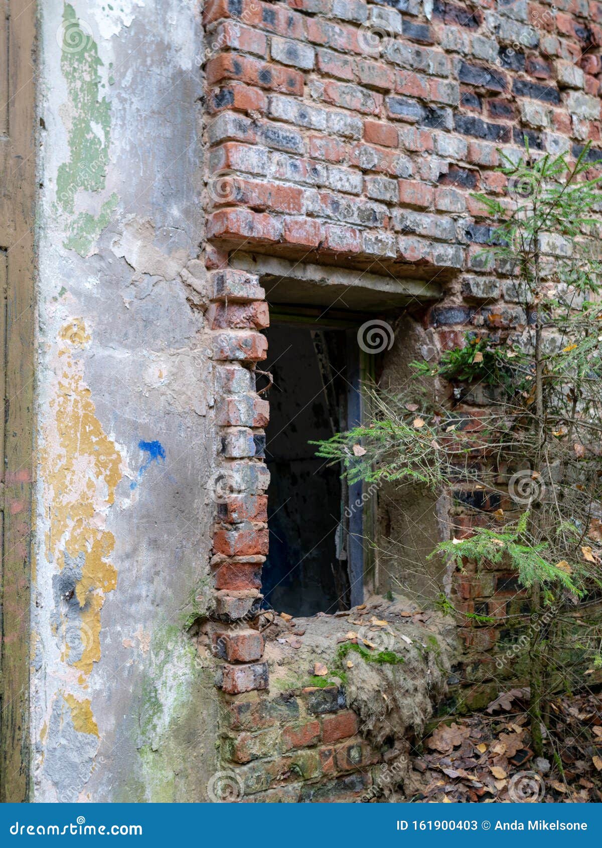 Brick Wall from a Collapsed Building in the Woods Stock Image - Image ...