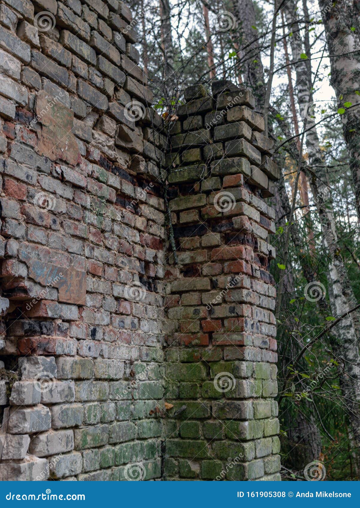 Brick Wall from a Collapsed Building in the Woods Stock Photo - Image ...