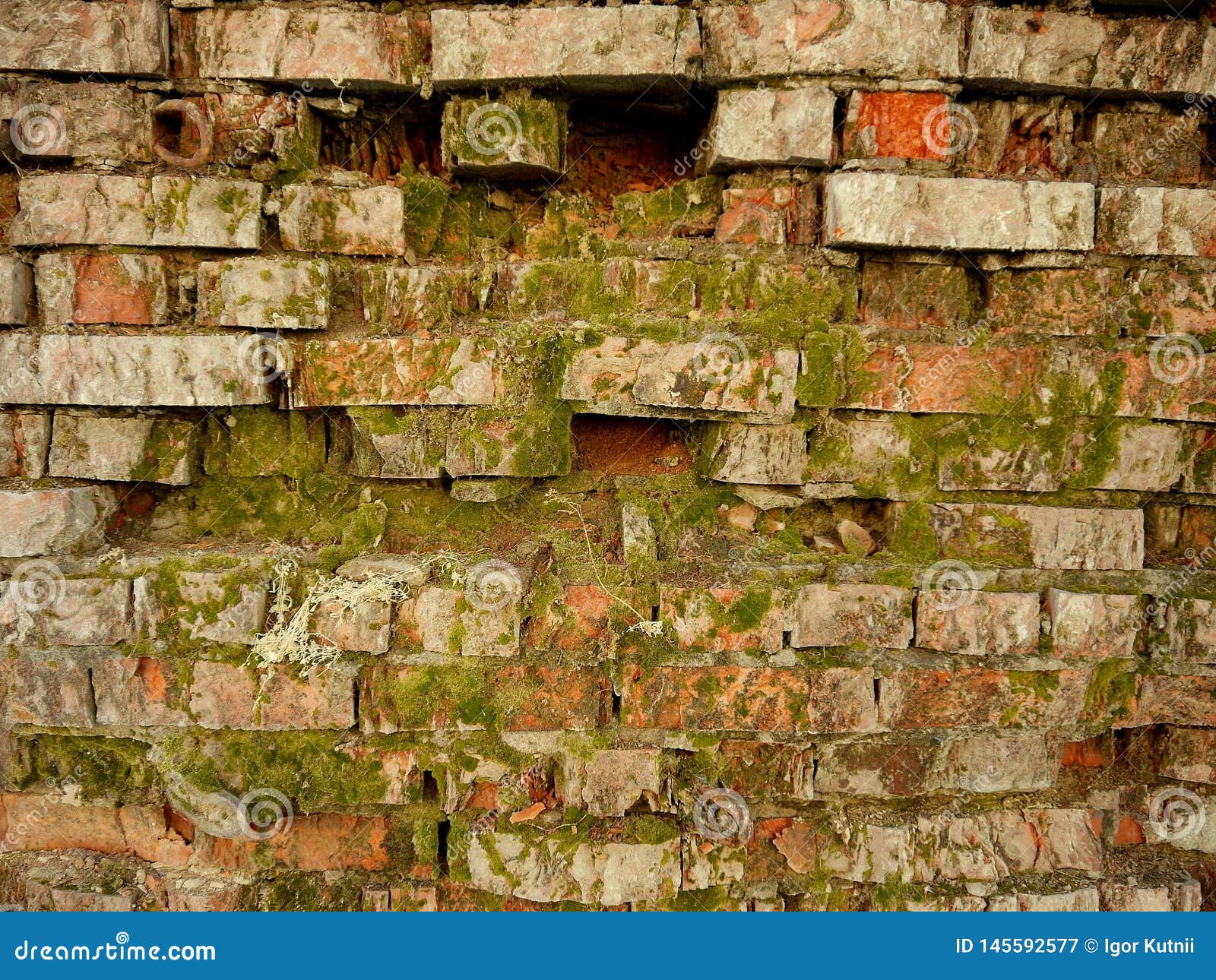 Old Brick Wall Covered in Moss. Stock Image - Image of block, dirty ...