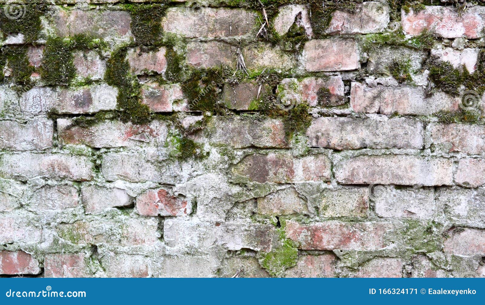 Old brick wall with moss stock image. Image of erosion - 166324171