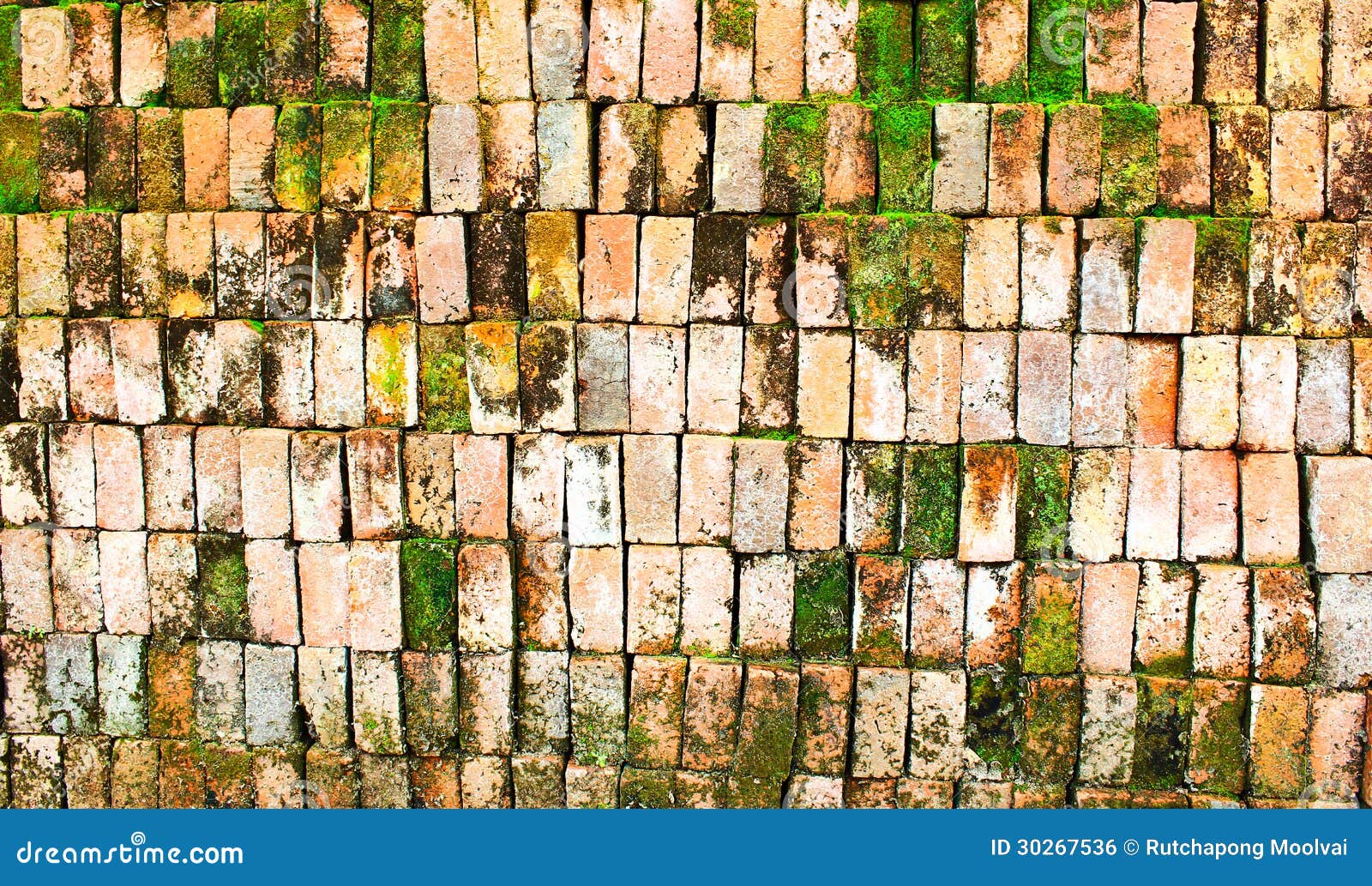 Old Brick wall with moss stock photo. Image of brick - 30267536