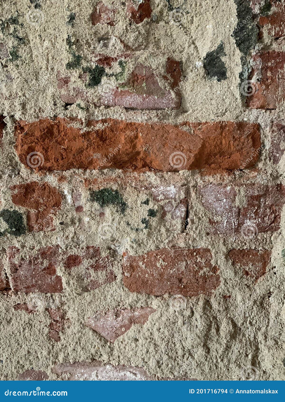 Old Brick Wall with Plaster Debris and a Bit of Mold Stock Photo ...