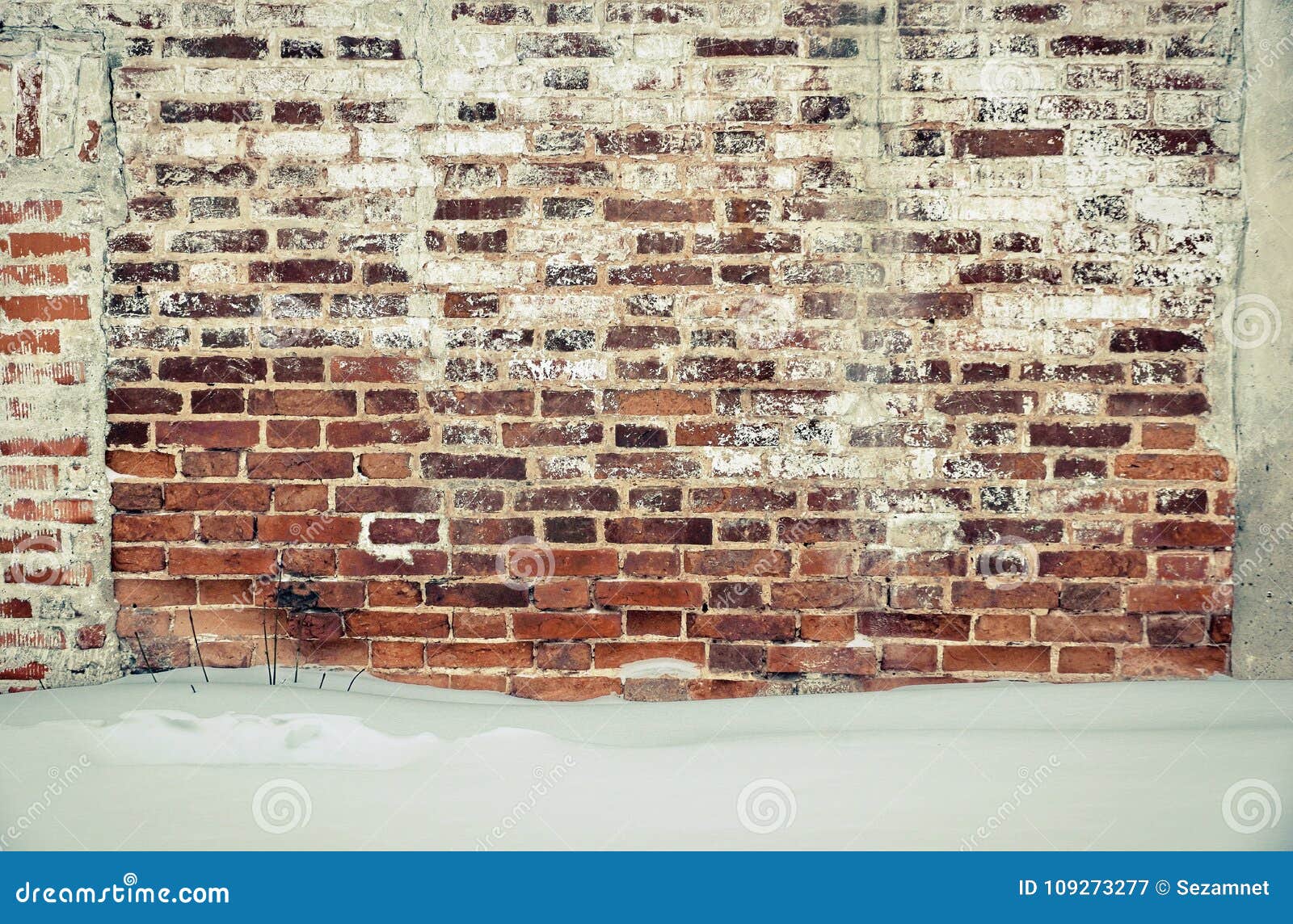 Old Brick Wall Red Brick and White Plaster Covered by Whitewash Stock ...