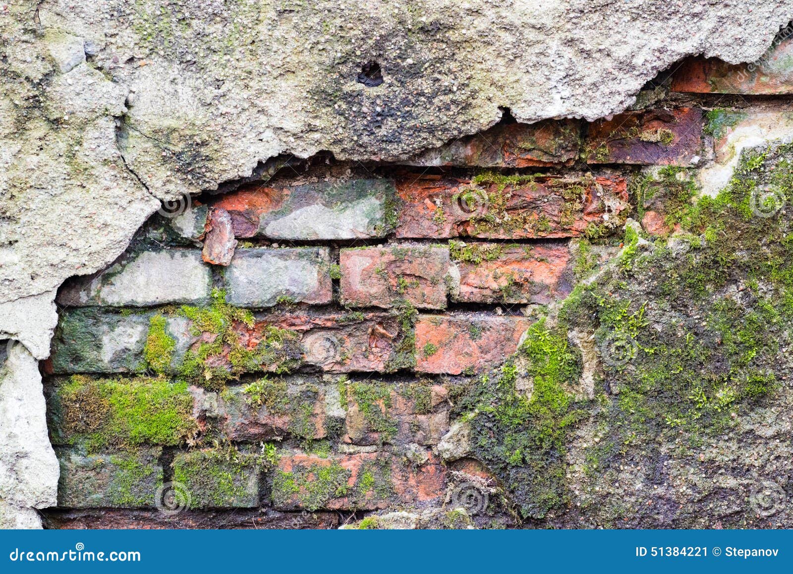 Old Brick Wall Texture with Moss Stock Image - Image of architect ...
