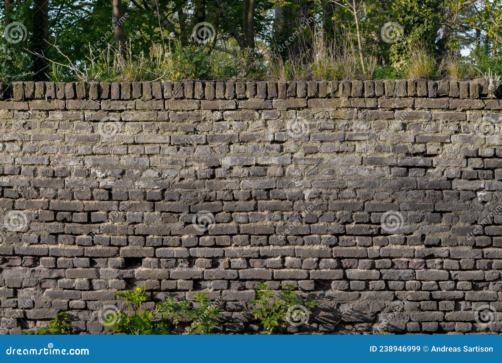 Old Brick Walls in the Forest Overgrown with Plants Stock Image - Image ...