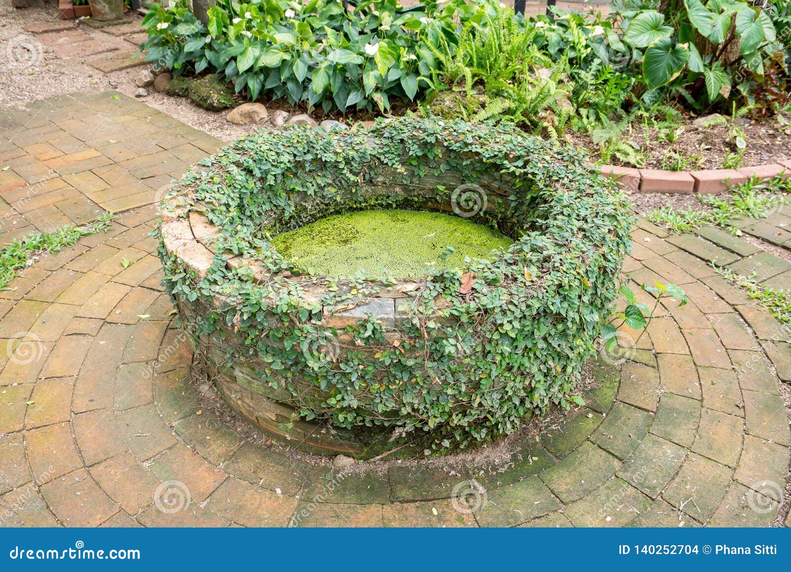 Old Brick Water Well with Green Creeper in the Garden Stock Photo ...
