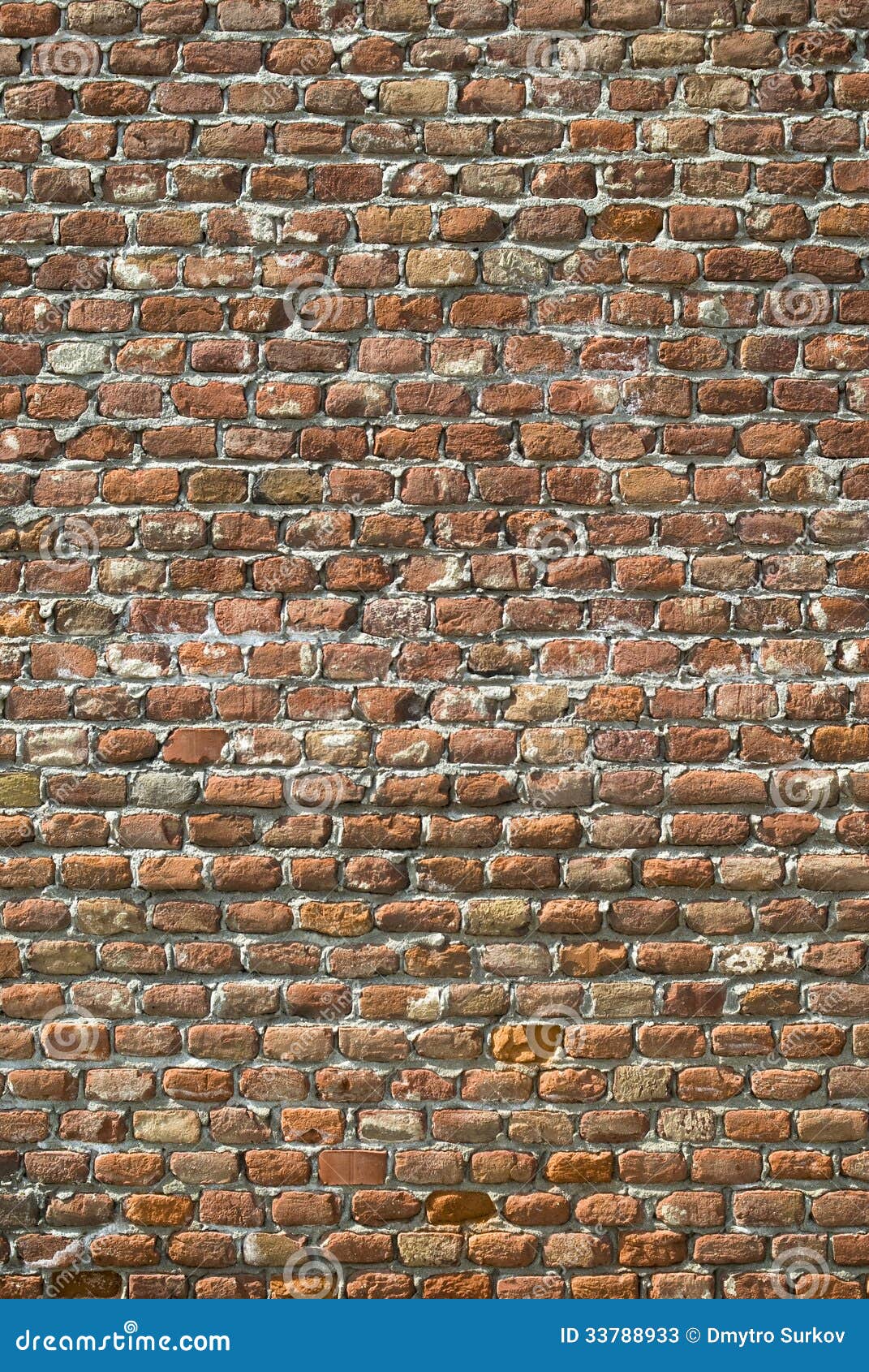 Bug On The Bricked Wall Stock Image | CartoonDealer.com #181769743