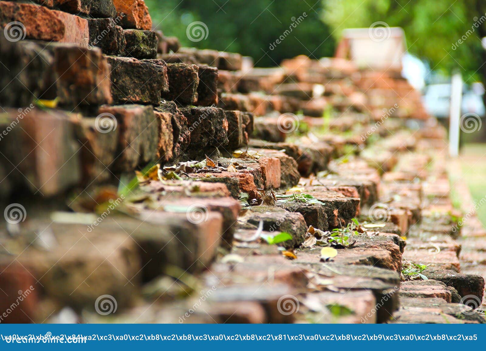 Bricks Temple At Ankor Royalty-Free Stock Image | CartoonDealer.com ...