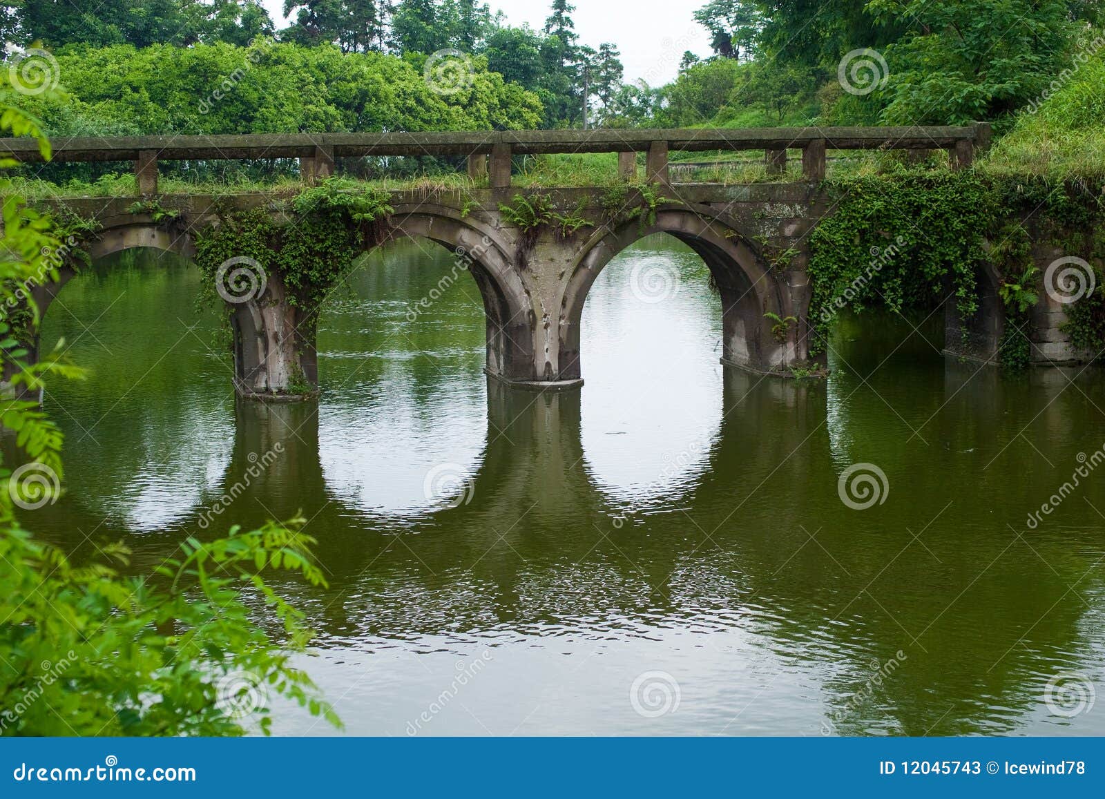 An old bridge stock image. Image of arch, life, plants - 12045743