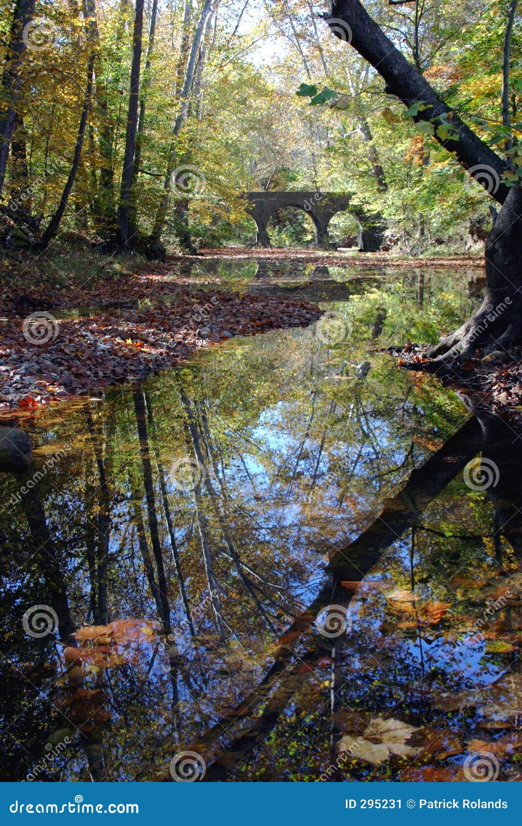 Old bridge stock image. Image of water, autumn, fall, landscape - 295231