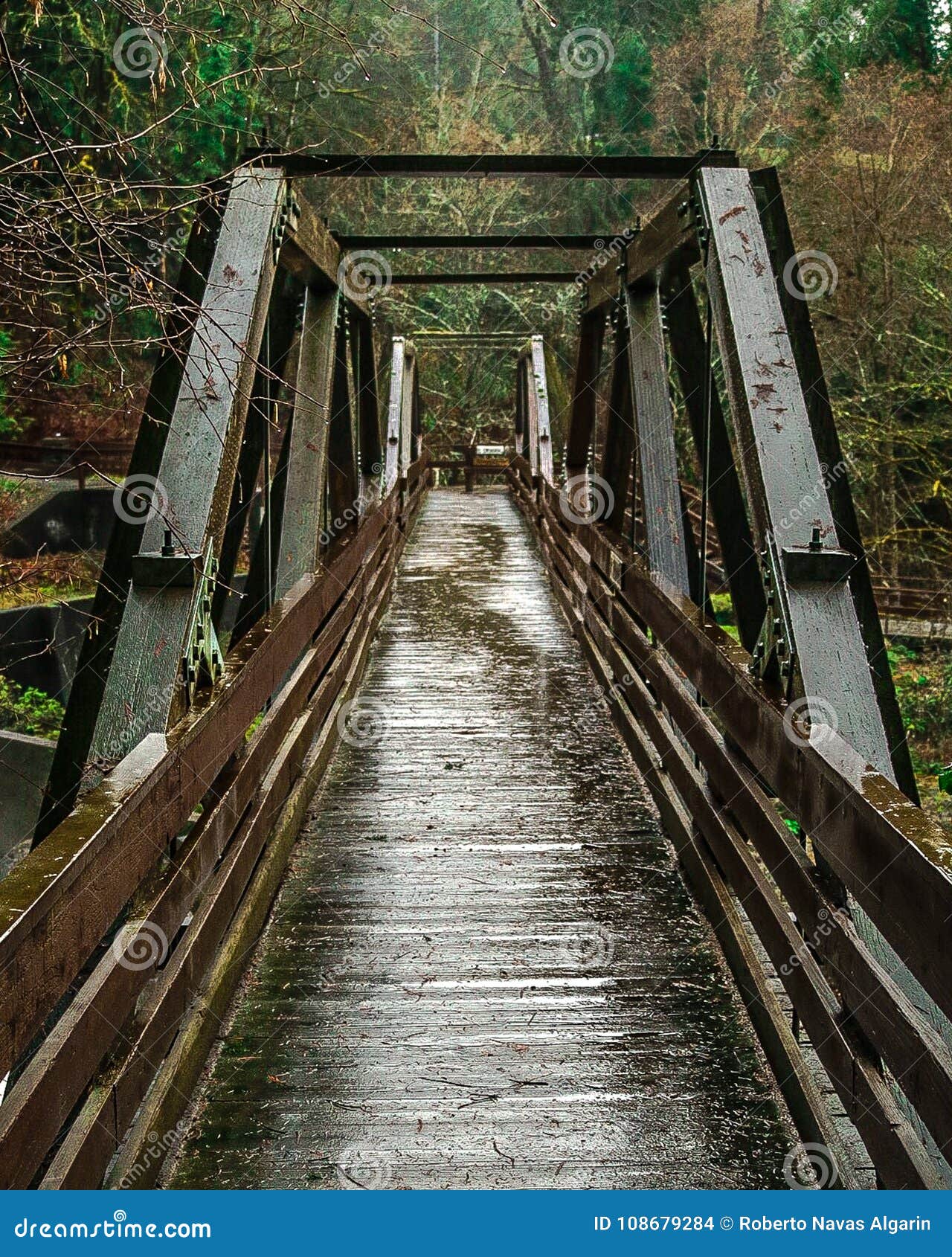 An Old Bridge Along the Path. Stock Photo - Image of covered, falls ...