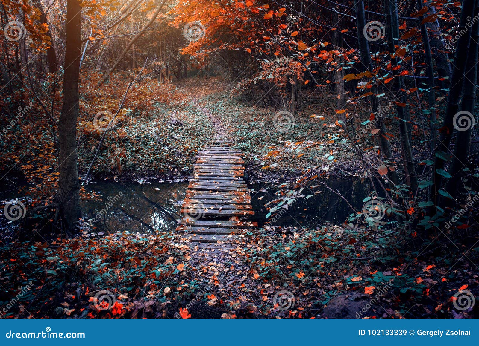 Old Bridge in the Autumn Landscape Stock Image - Image of foliage ...