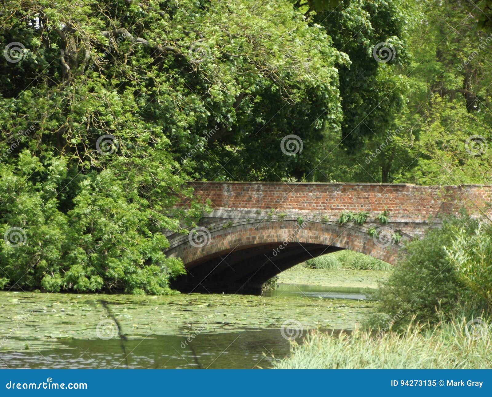 Old Bridge stock image. Image of water, brick, bridge - 94273135