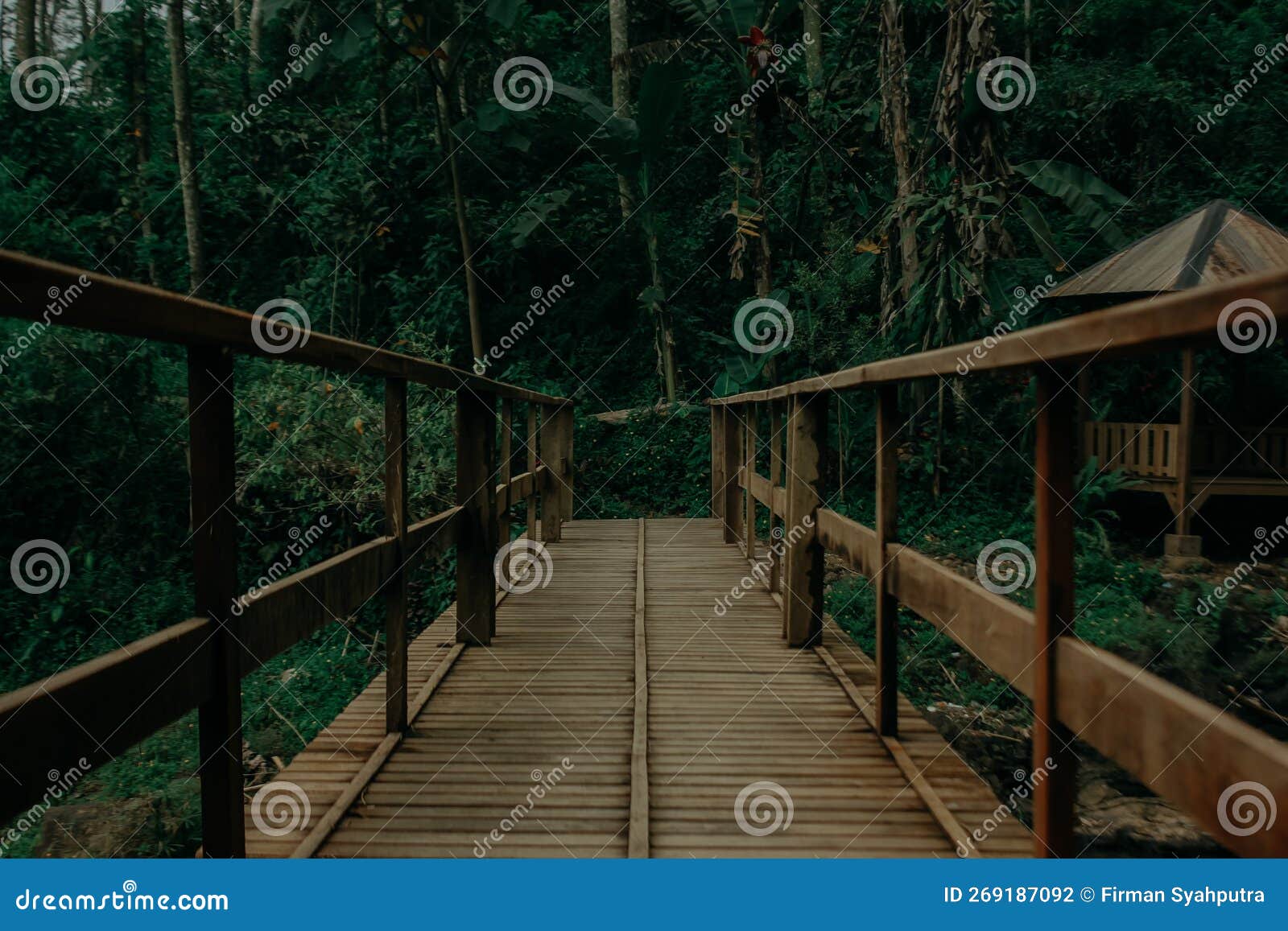 Old Bridge Connecting into the Forest Stock Photo - Image of connecting ...