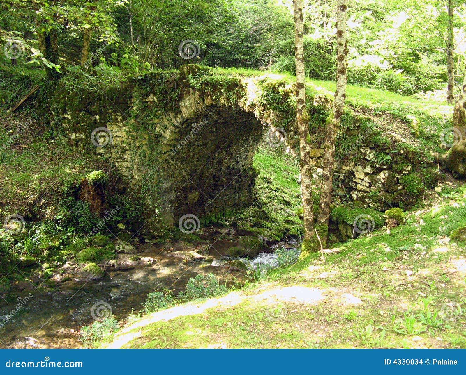 1920x1080 Bridge Moss On