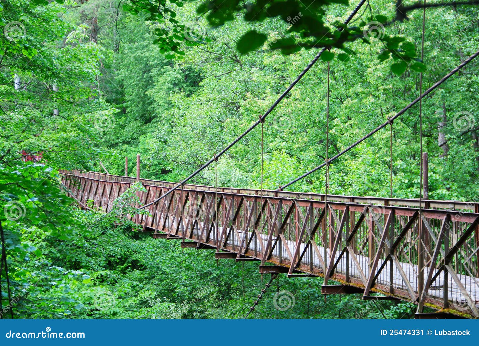Old bridge in forest stock image. Image of park, mountain - 25474331