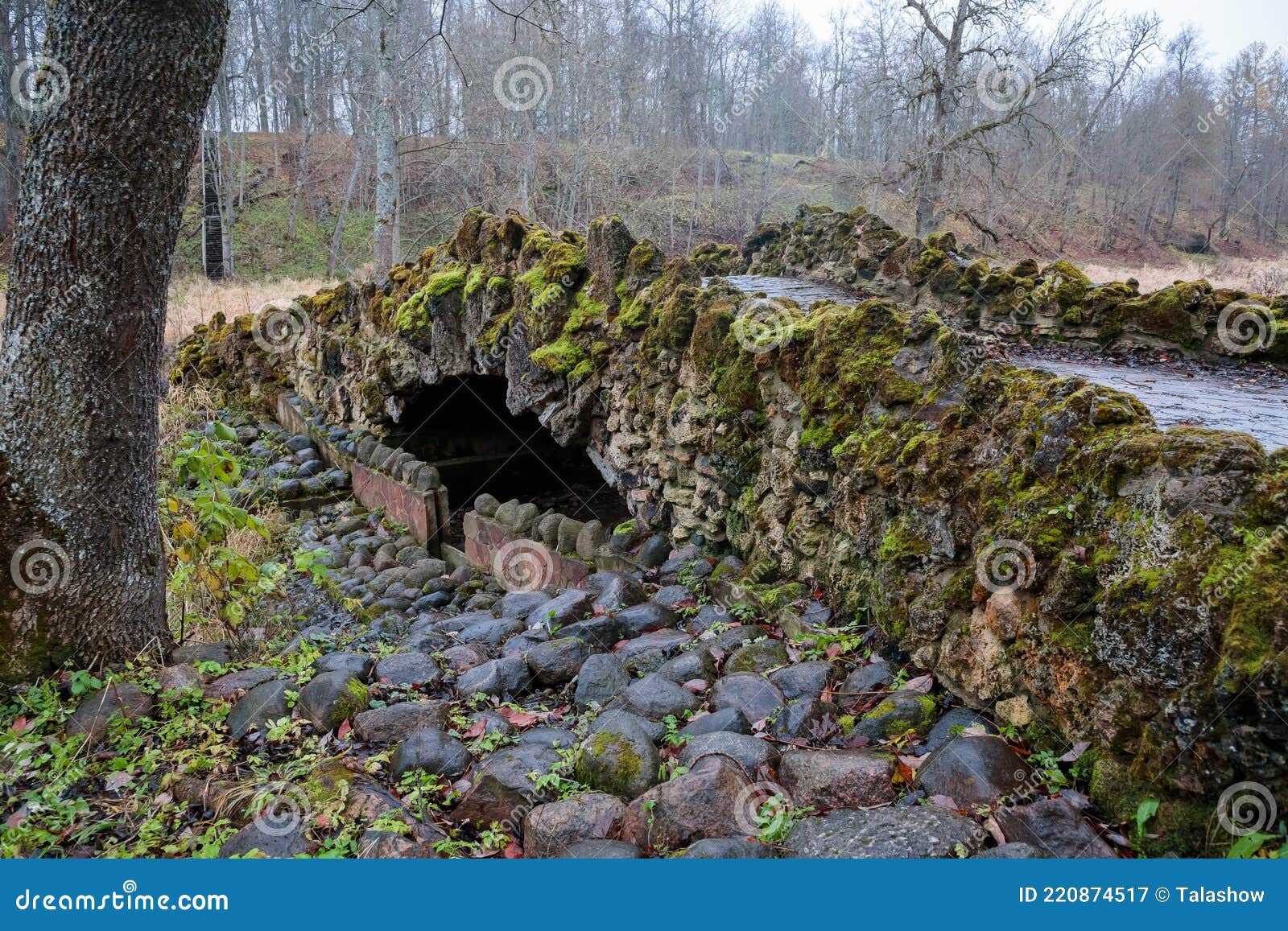 Old Bridge in the Forest in Autumn Time Stock Image - Image of object ...