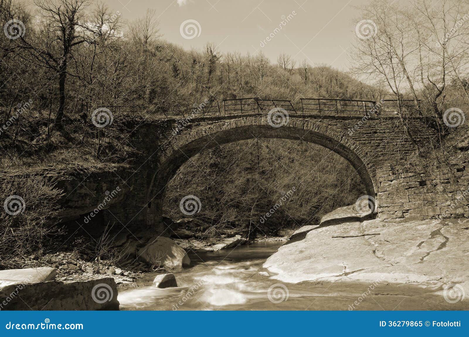 Old bridge in the forest stock image. Image of nature - 36279865