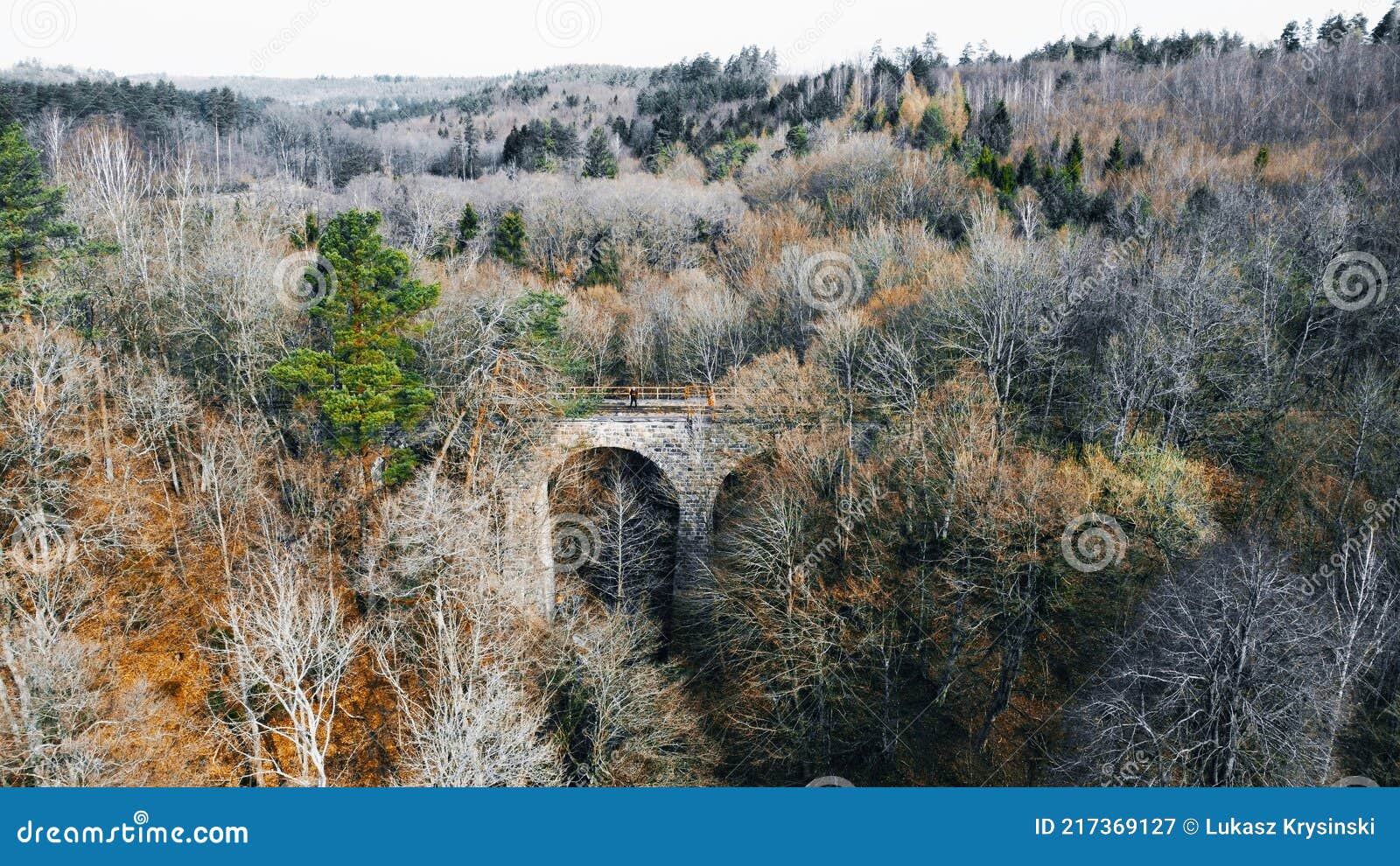 The Old Bridge in the Forest Stock Image - Image of river, wilderness ...