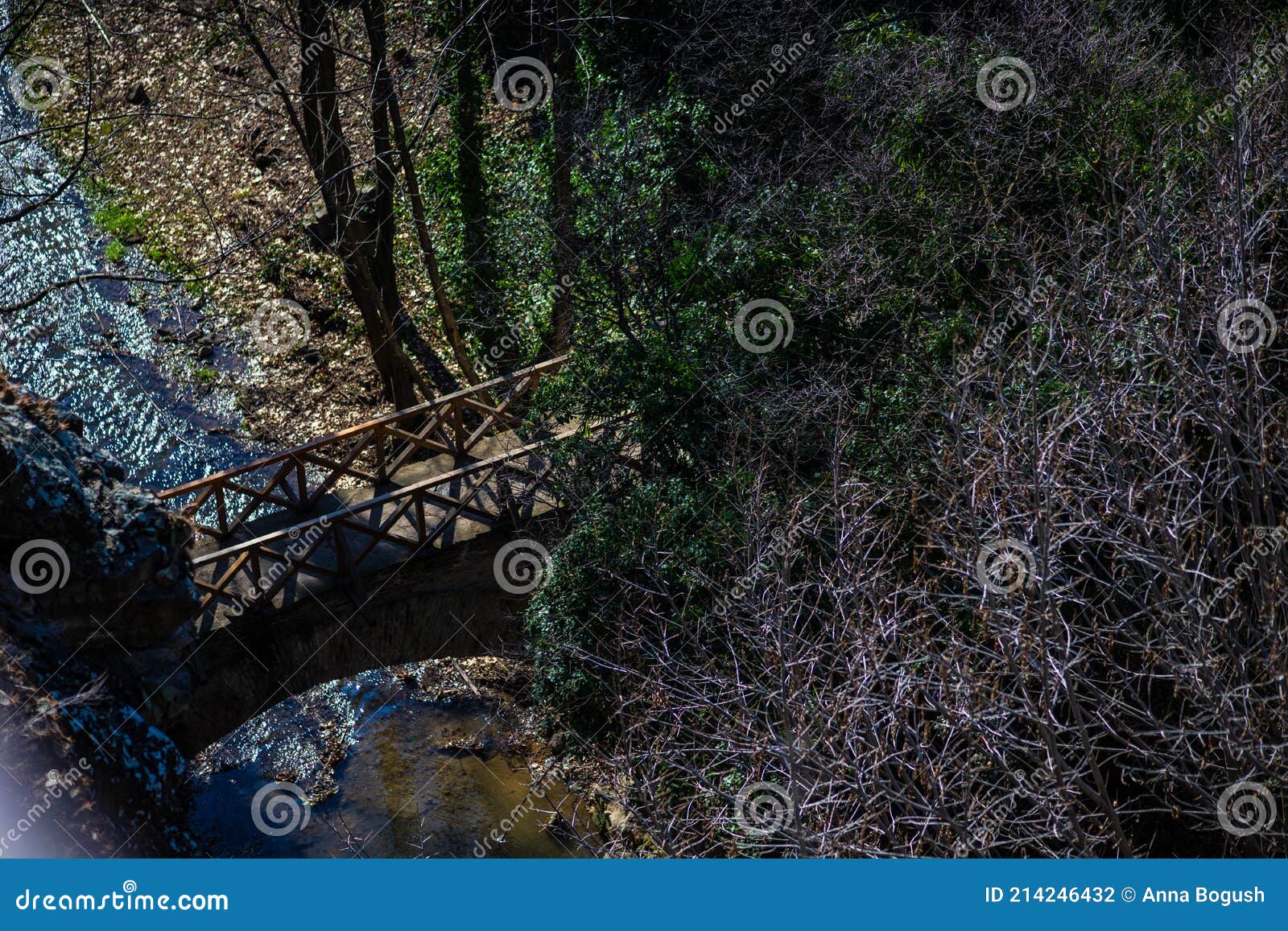 Old bridge in a forest stock photo. Image of architectural - 214246432