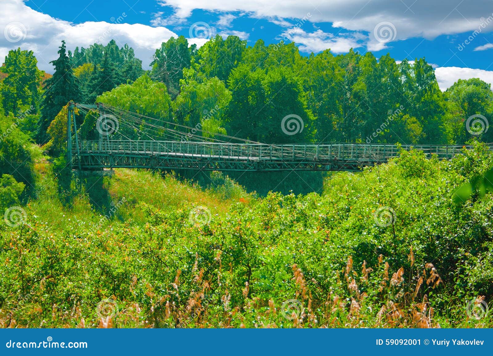 Old bridge in the forest stock image. Image of beauty - 59092001