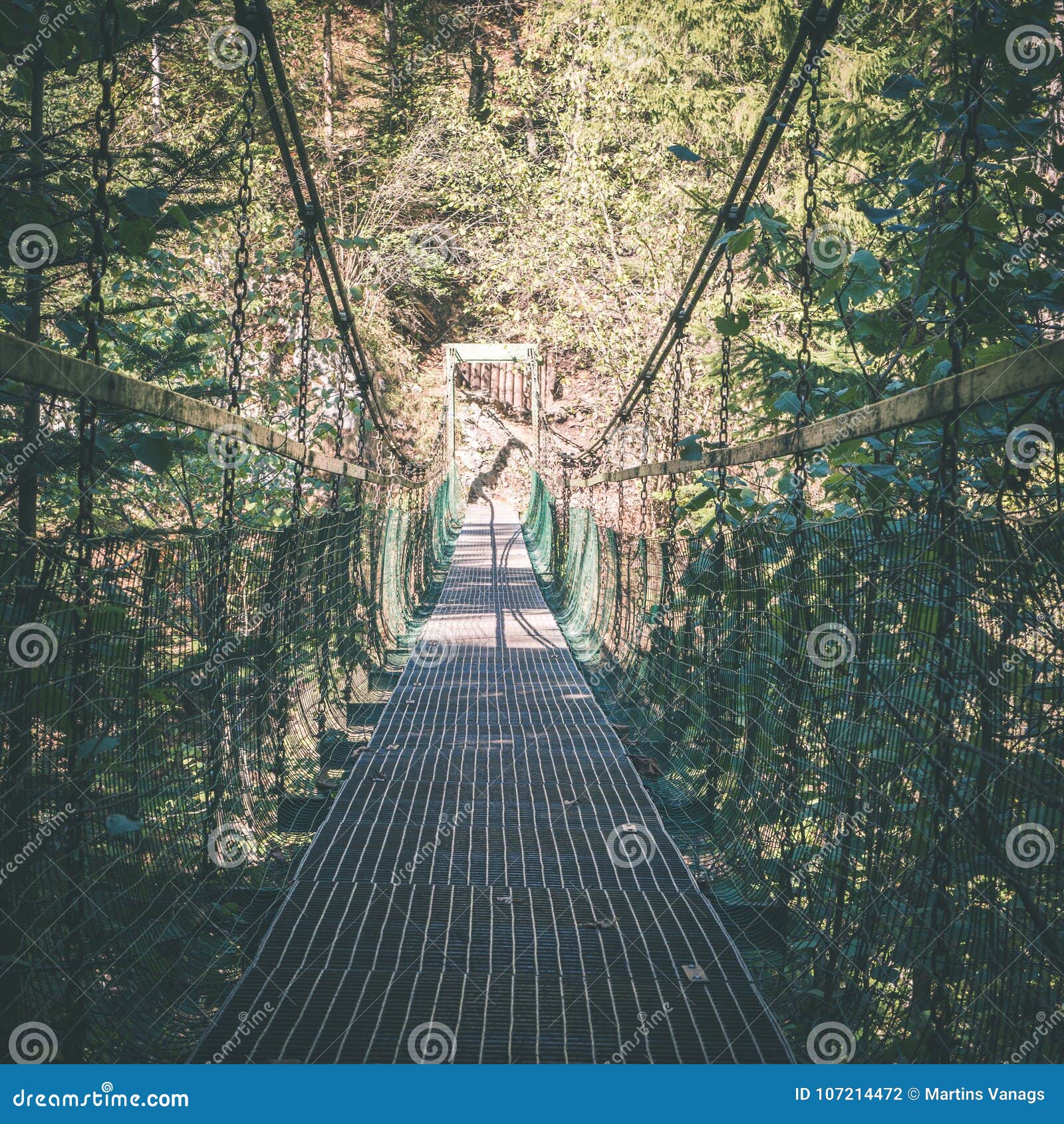 Old Bridge in Forest - Vintage Film Effect Stock Photo - Image of haze ...