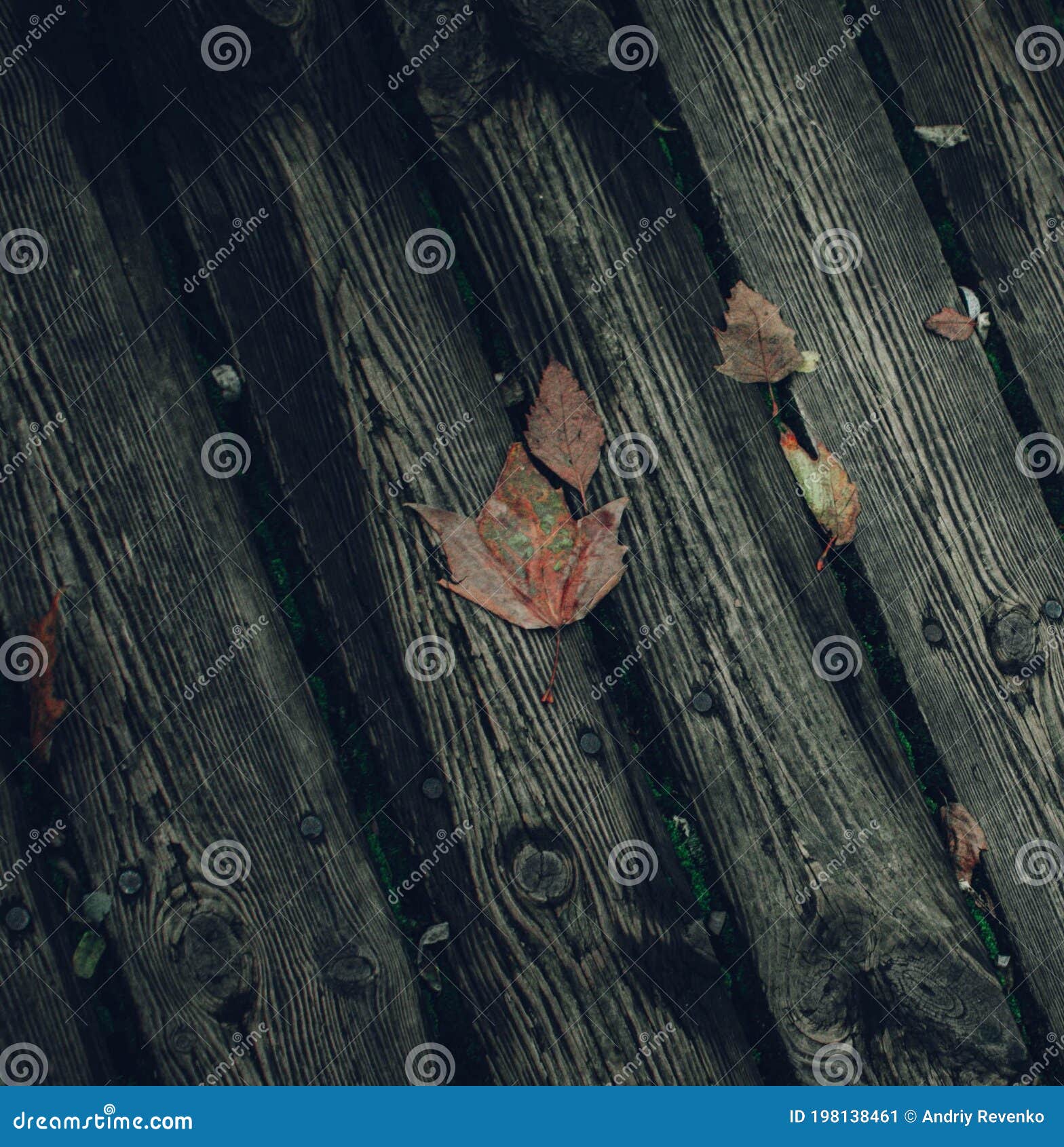 Old Bridge on the Lake Idro. Stock Image - Image of foliage, garda ...