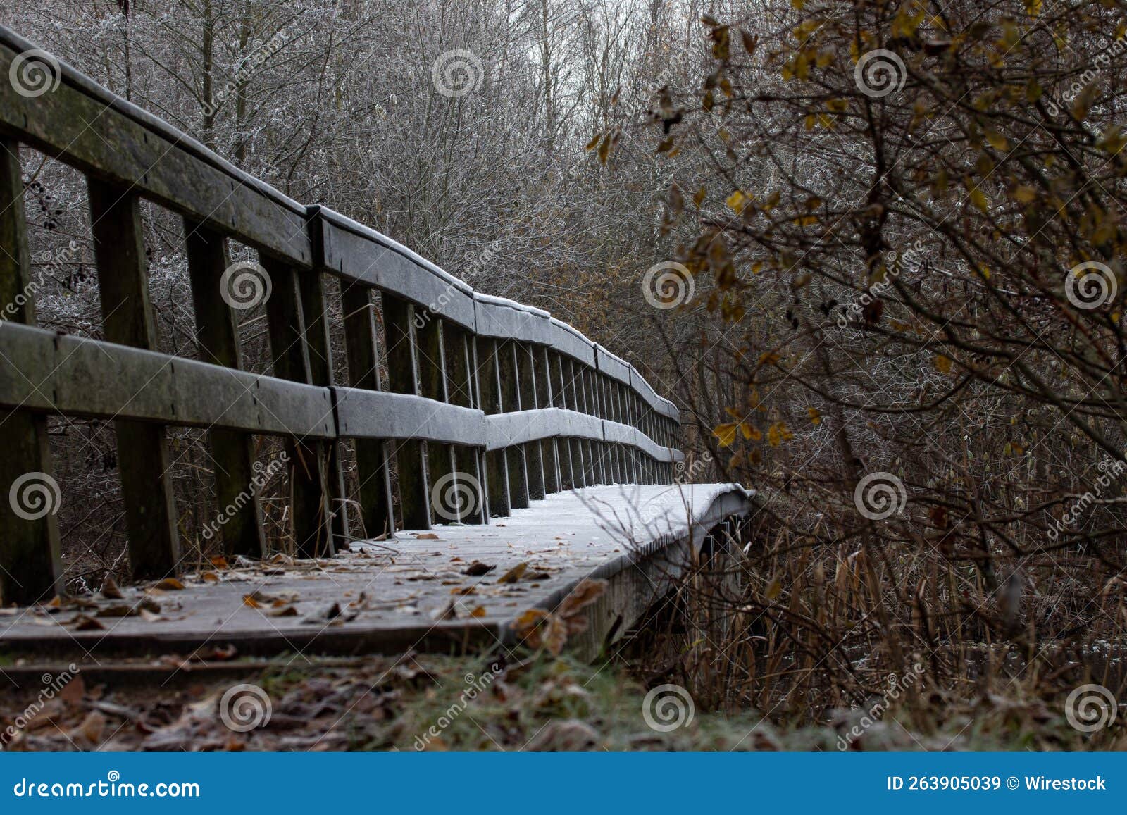 Old Bridge in the Late Autumn Forest. Stock Image - Image of park ...