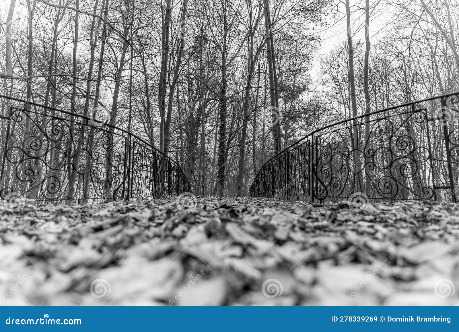 Old Bridge Leads Over Small Pond. the Whole Bridge is Covered with ...