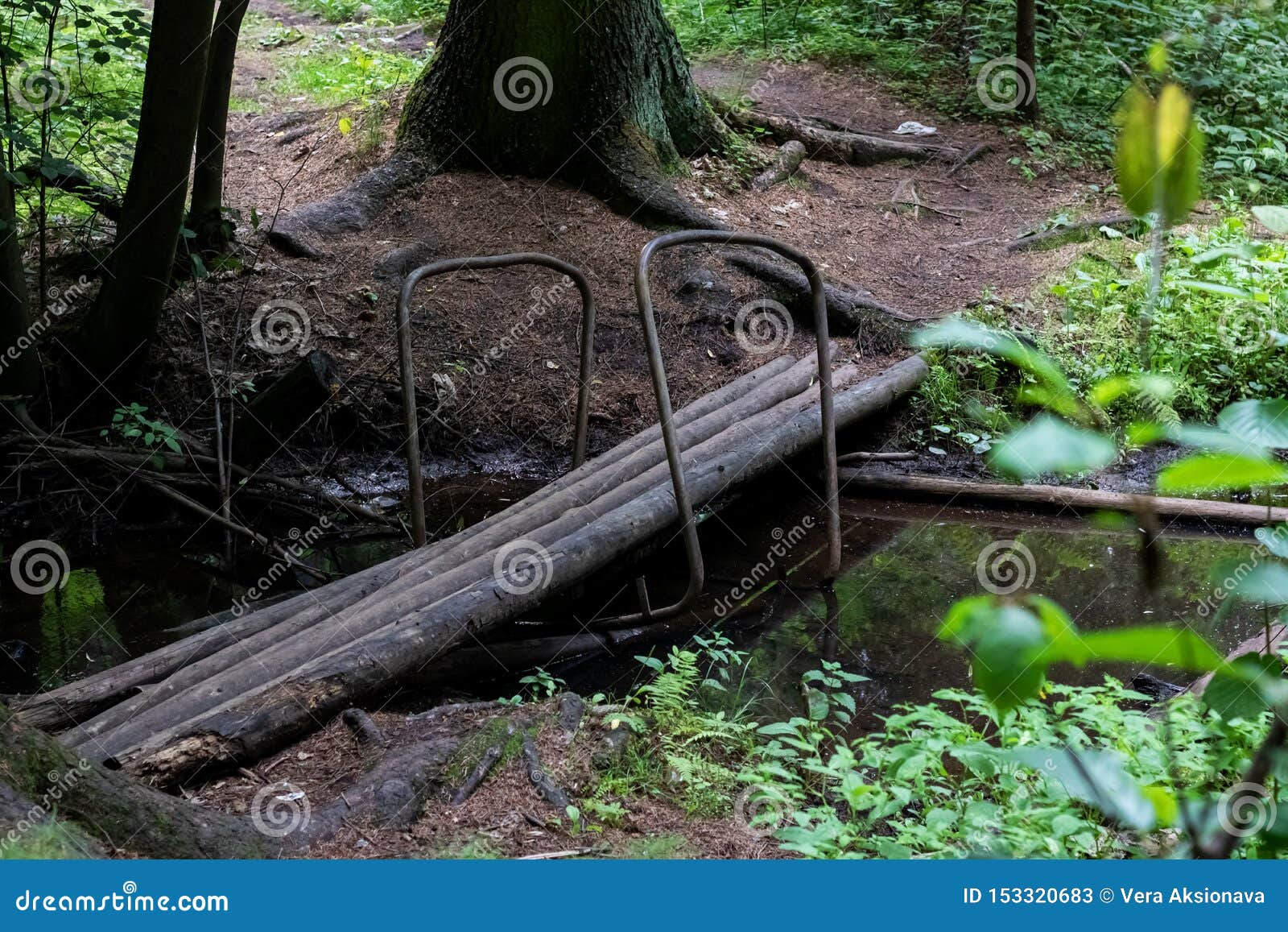 Old Bridge of Logs Over the River in the Forest Stock Image - Image of ...