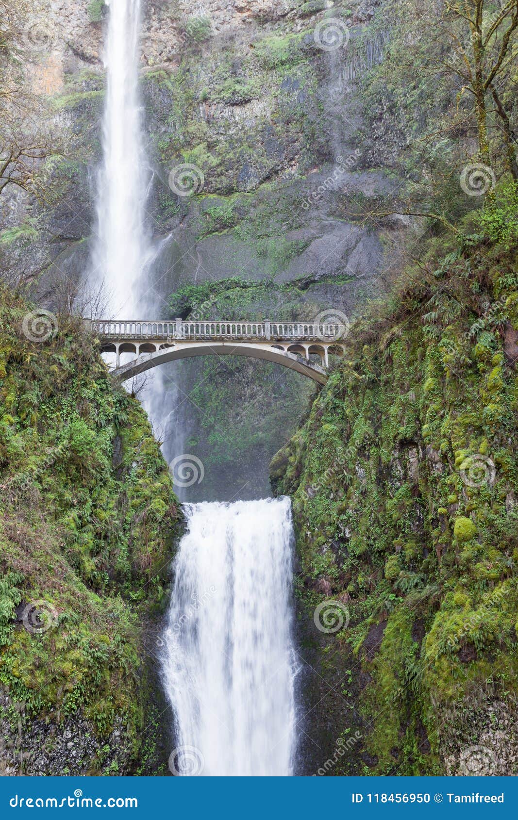 Old Bridge at Multnomah Falls Stock Photo - Image of activity, beauty ...