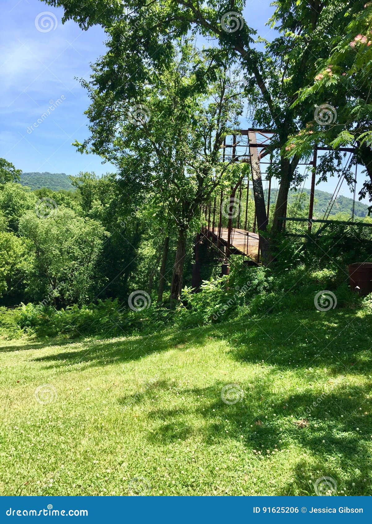 An Old Bridge stock photo. Image of outside, trees, nature - 91625206