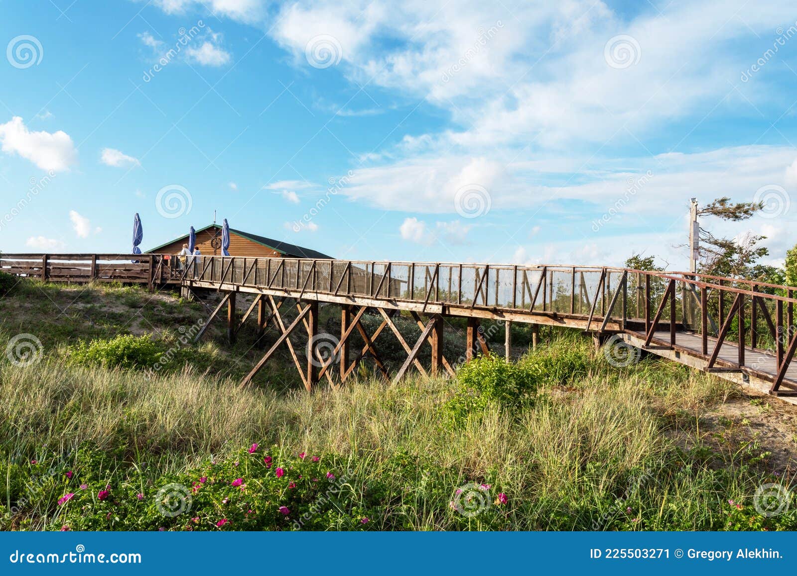 Old Bridge Over the Ravine. Wooden Bridge Over the River Stock Image ...