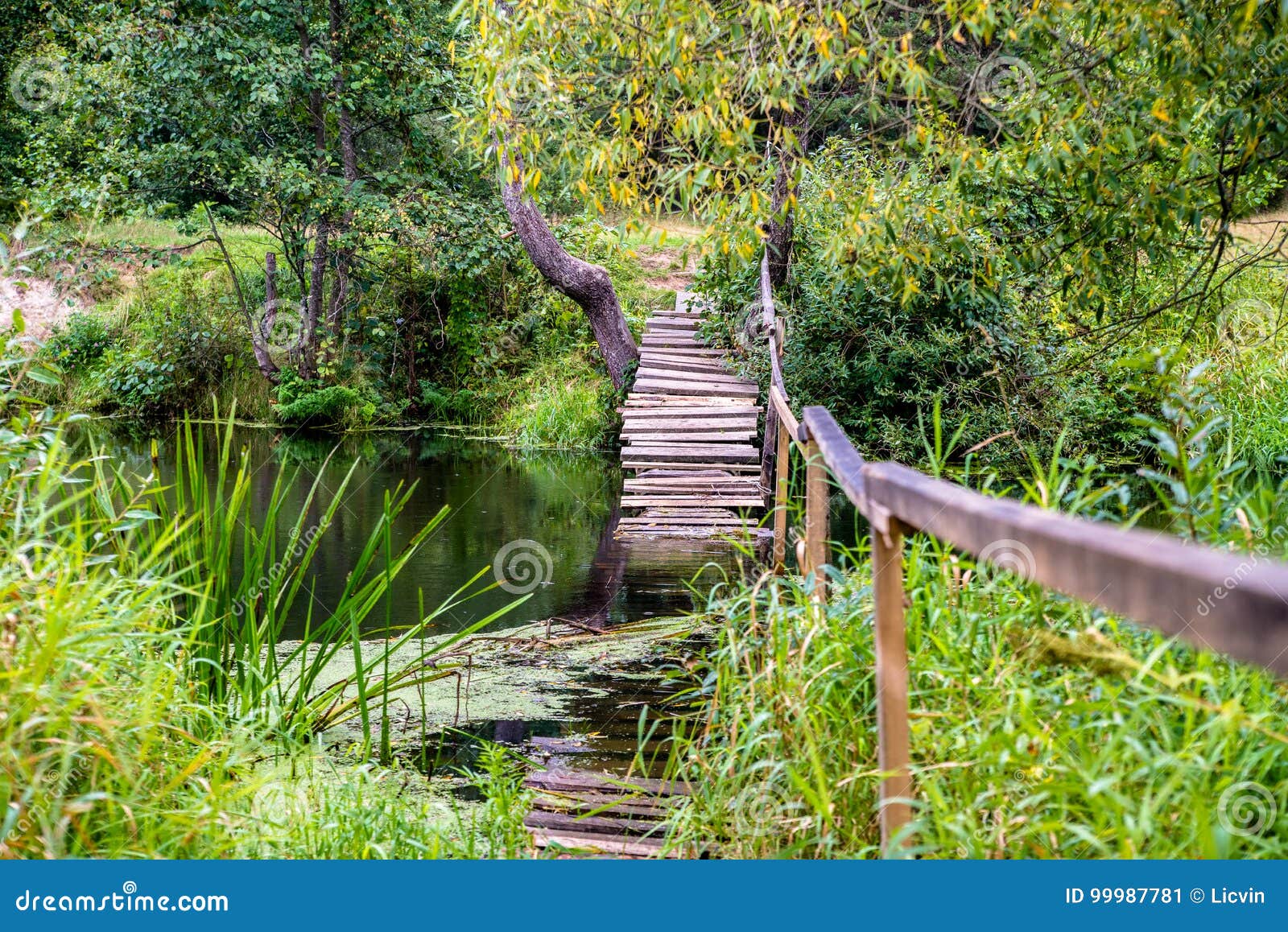 Old bridge over the river stock image. Image of bridge - 99987781