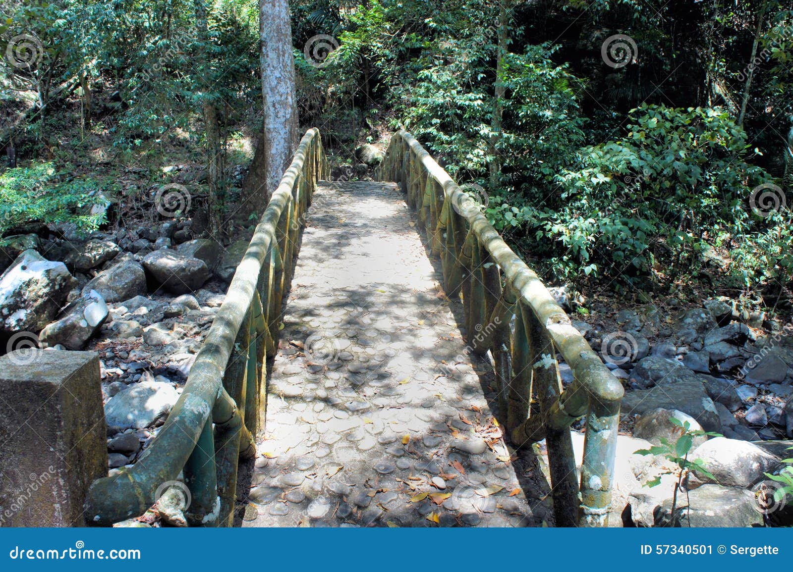 Old Bridge Over a Stream in the Woods. Stock Image - Image of power ...