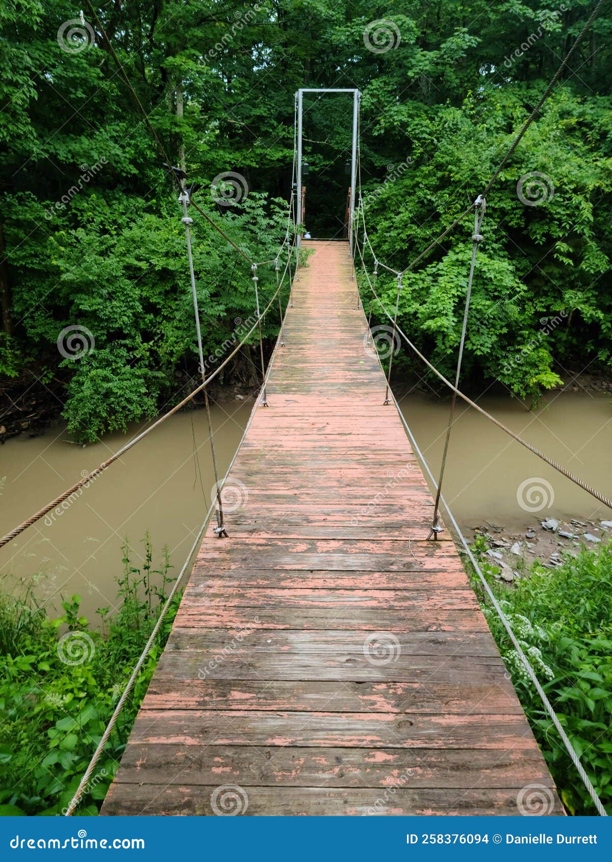 Old bridge over water stock photo. Image of jungle, forest - 258376094
