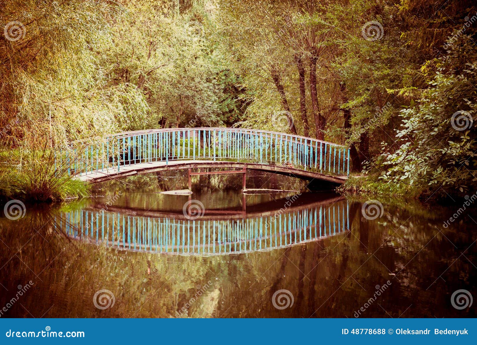 Old Bridge in the Park with Lake Stock Photo - Image of humidity ...